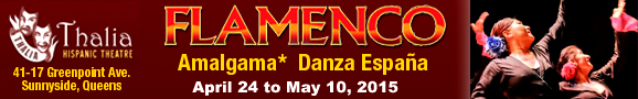FLAMENCO BANNER | Queens Latino