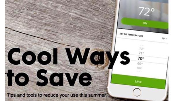 Con Edison Urges Customers to Use Energy Wisely In the House | Queens ...